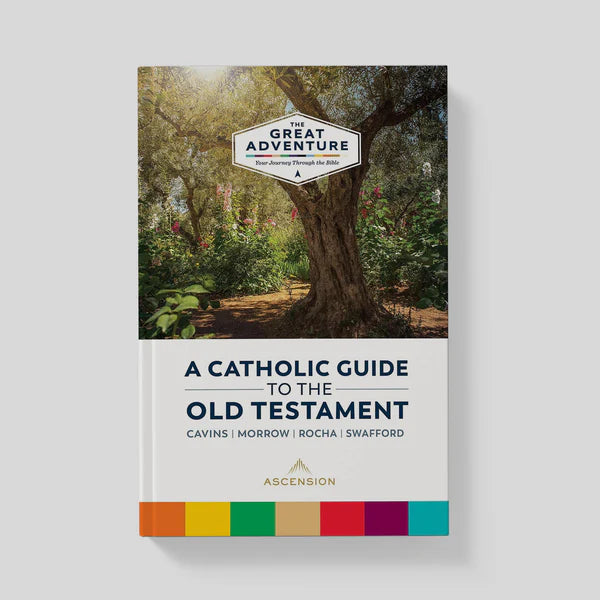 A Catholic Guide to the Old Testament – The Cenacle Press at ...
